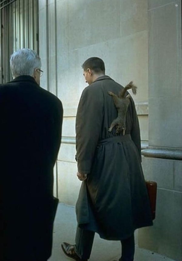 Daily Afternoon Randomness (50 Photos)