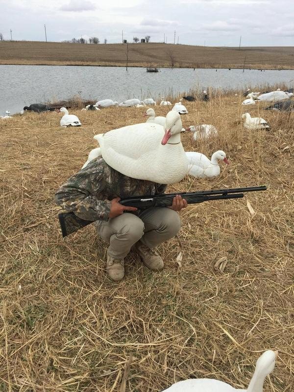 Daily Afternoon Randomness (50 Photos)