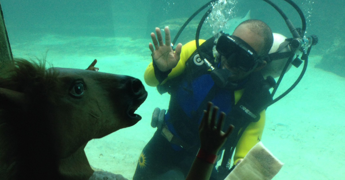 Daily Morning Awesomeness on another Monday Morning : theCHIVE