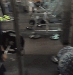 Things That Bounce Thursday (17 GIFS)