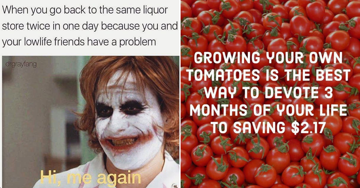 Truthful memes that are almost impossible to deny