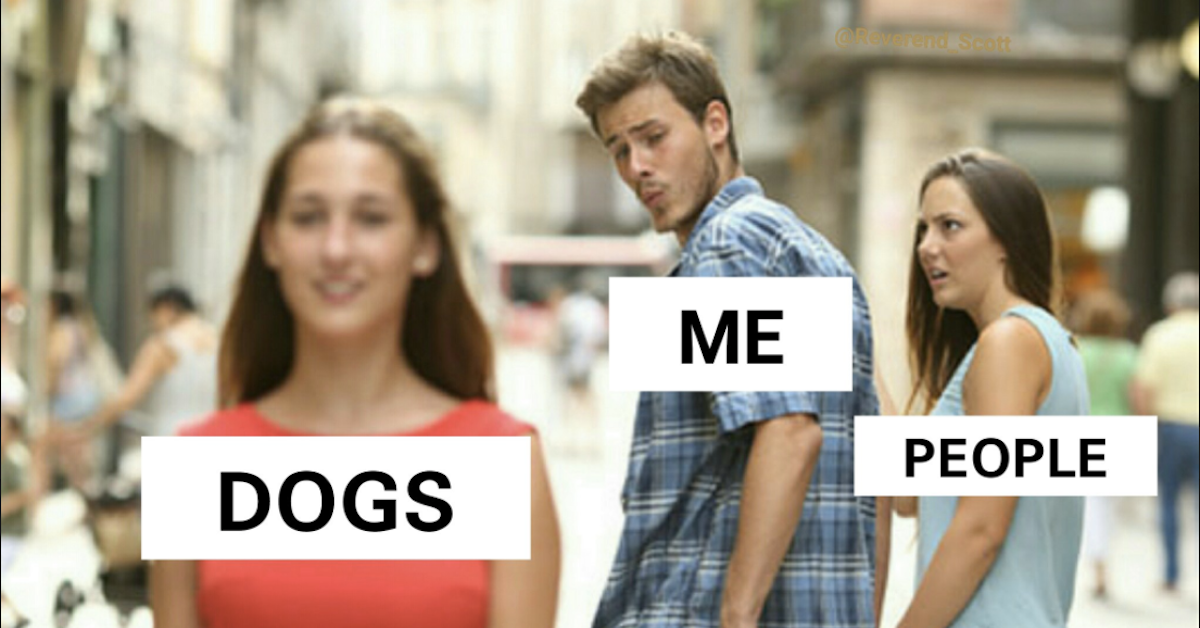 The Distracted Boyfriend meme is taking over the internet (25 Photos)