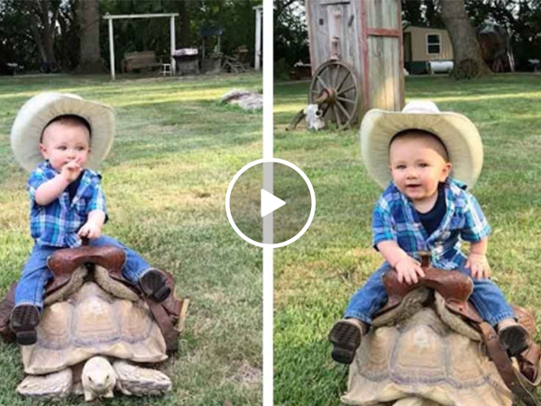 A little baby dressed in a cowboy outfit riding a giant tortoise