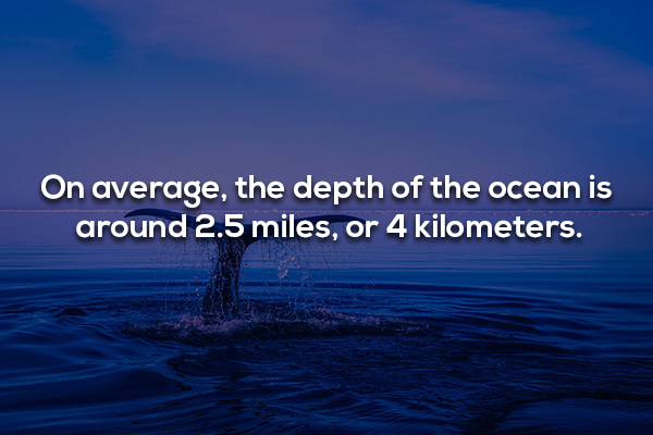 Dive deep into some ocean knowledge