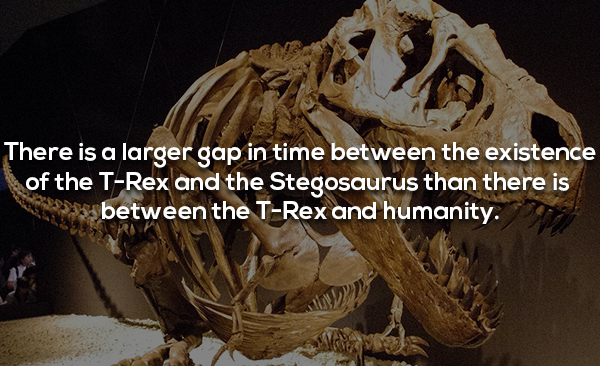 Time-related facts that promise a brain cramp