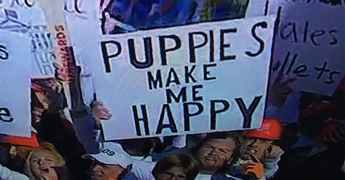 Funniest College GameDay Signs | Penn State v.s Ohio State : theCHIVE