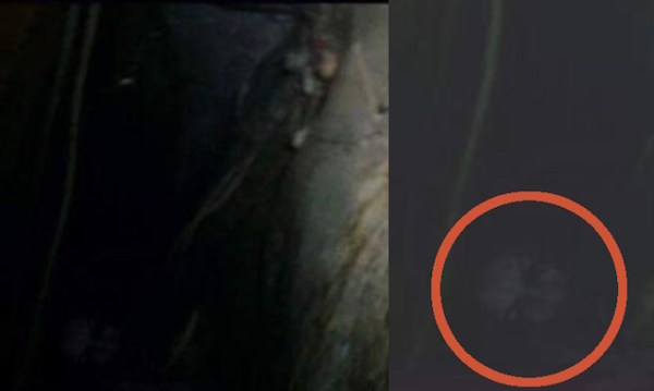 These creepy photos give me goosebumps on top of goosebumps (23 Photos)