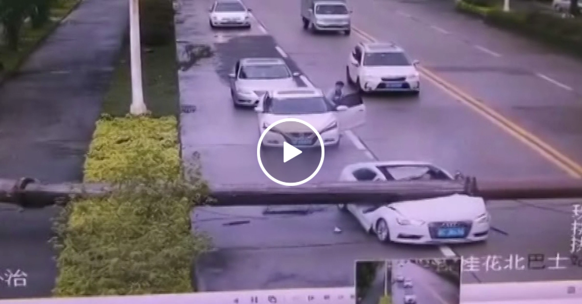 Just when you thought your morning commute couldn’t get any worse ...