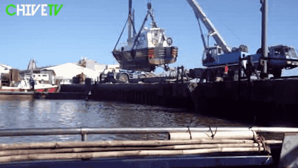 That’ll cost ya! (16 GIFS)