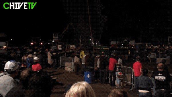 That’ll cost ya! (16 GIFS)