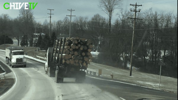 That’ll cost ya! (16 GIFS)