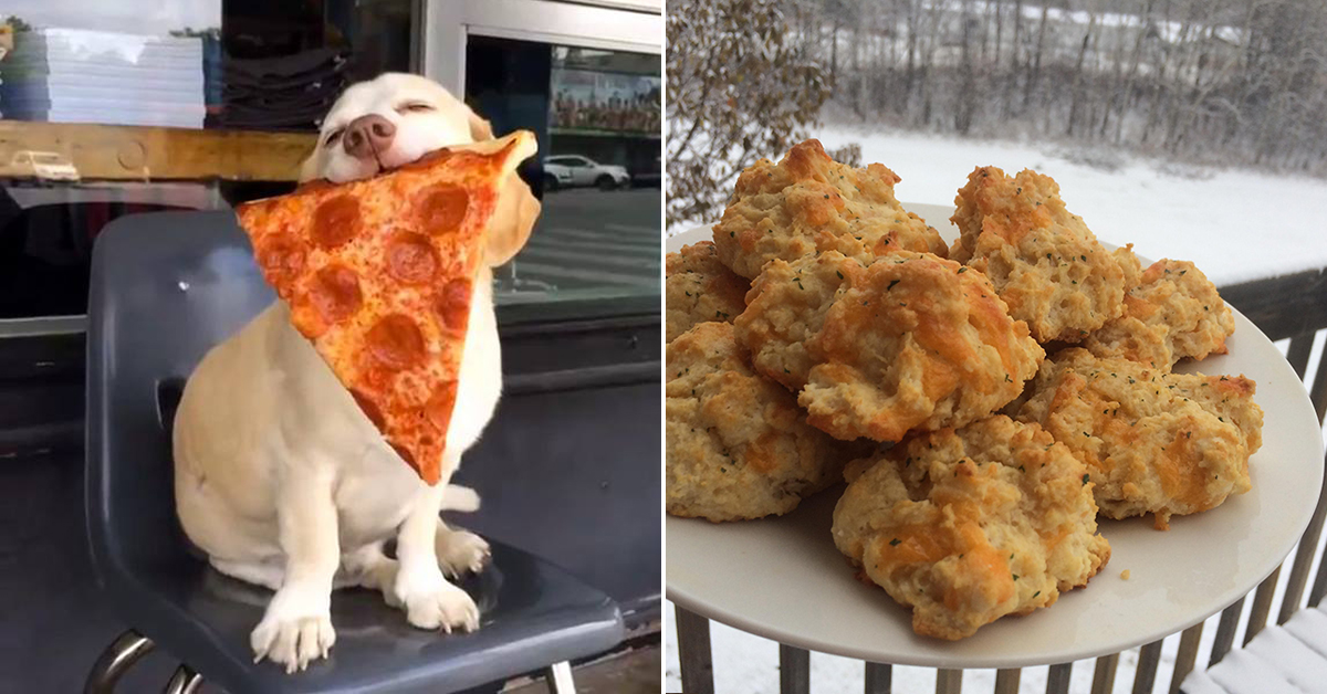 Perfect Looking Food
