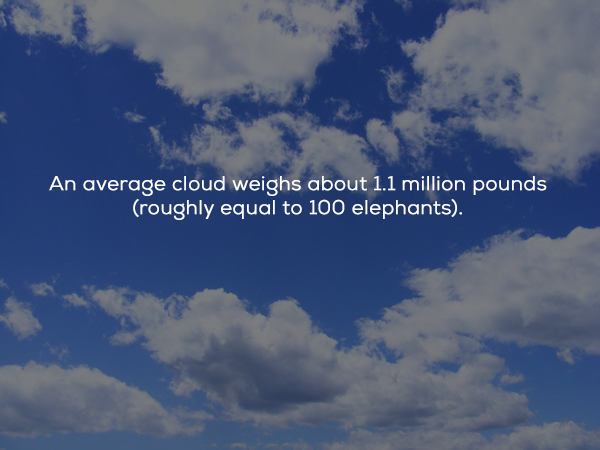 Puzzling statistics that are strange, but incredibly true (26 Photos)