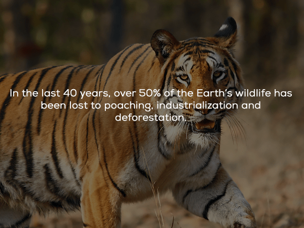 Puzzling statistics that are strange, but incredibly true (26 Photos)