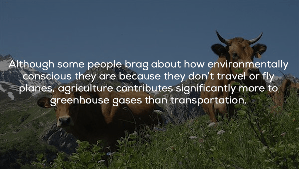 Puzzling statistics that are strange, but incredibly true (26 Photos)