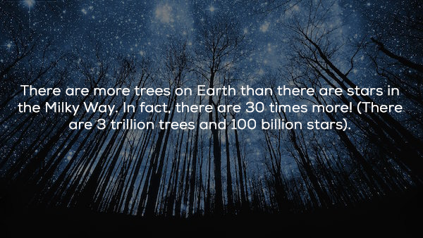 Puzzling statistics that are strange, but incredibly true (26 Photos)