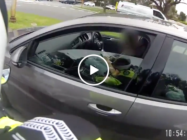 Lady is so distracted by her phone she doesn’t know she’s being pulled ...