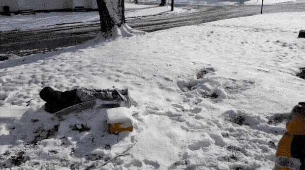 Expect laughs with these unexpected GIFs