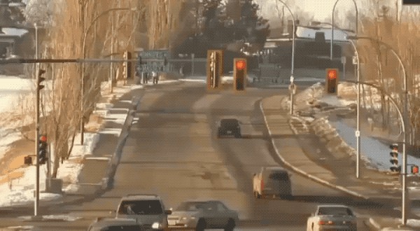 Expect laughs with these unexpected GIFs