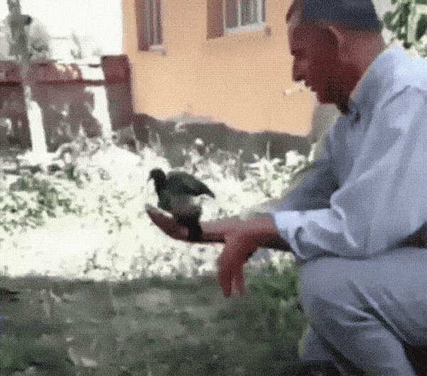 Expect laughs with these unexpected GIFs