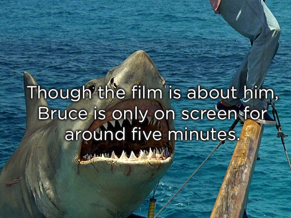 Unusual facts about Bruce, the shark from Jaws