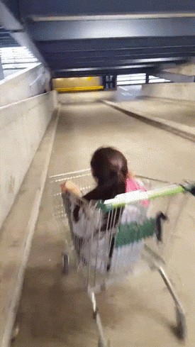 Things That Bounce Thursday (17 GIFS)