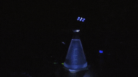 Chemical reactions are the most action I've seen in years