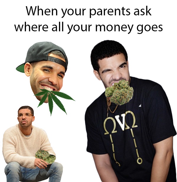 Spark up some weed facts & memes on the side