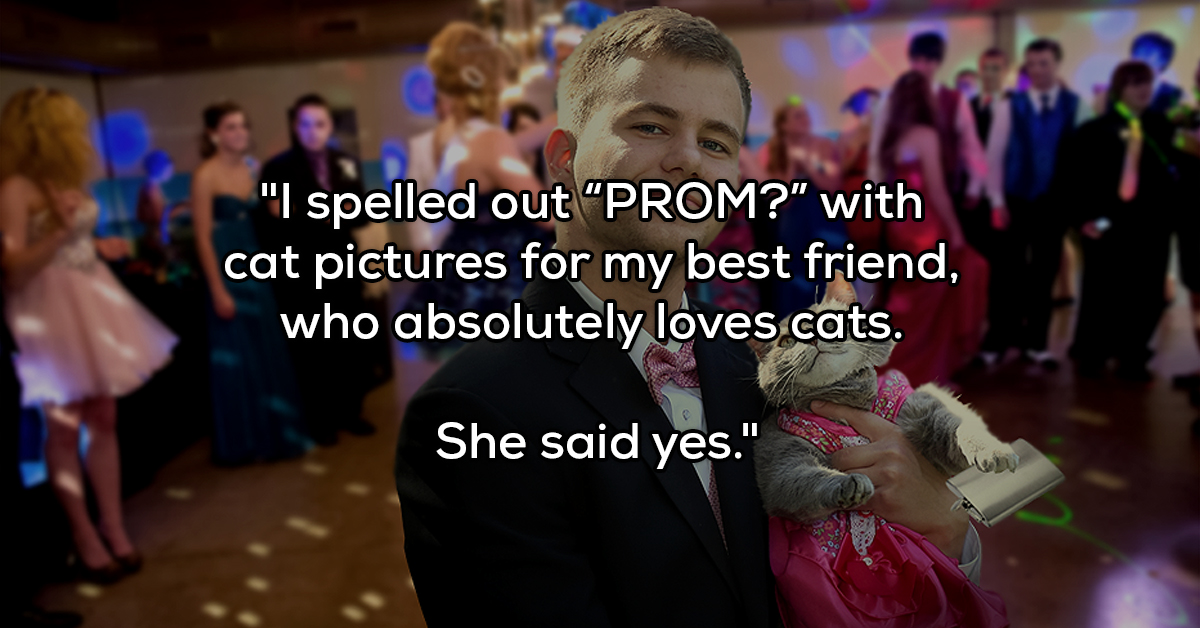 People share the most brilliant ways they successfully asked dates out ...