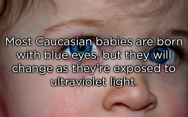 Titillating facts about the human body