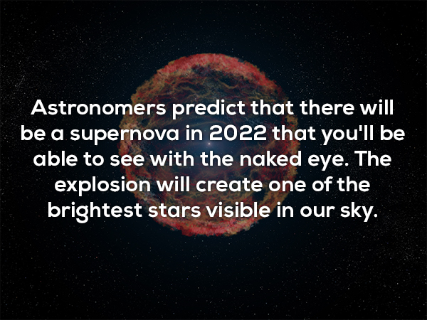 Want to know some totally useless facts? (25 Photos)