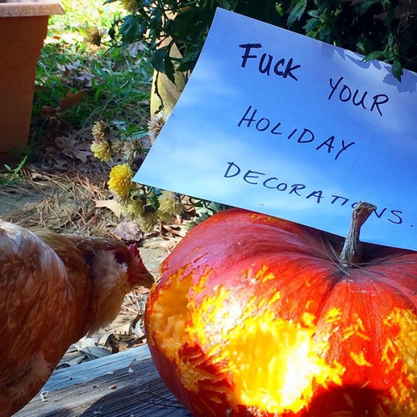 "Chicken Crimes" Deserve "Chicken Shames" (30 Photos)