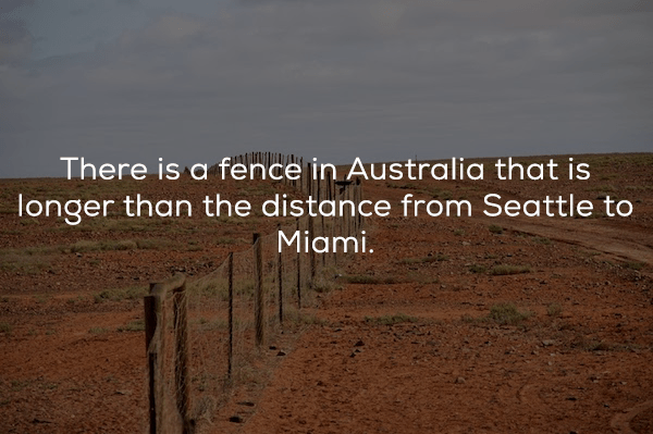 These facts sound fake, but they're more true than you know (22 Photos)