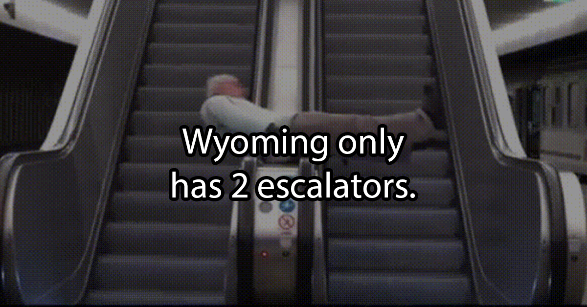 Random Facts To Tell Your Friends At The Water Cooler 15 Photos random-facts-to-tell-your-friends-at-the-water-cooler-15-photos