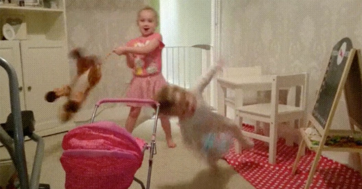 Kid Memes | Funny Kid Photos, Gifs & Videos - theCHIVE