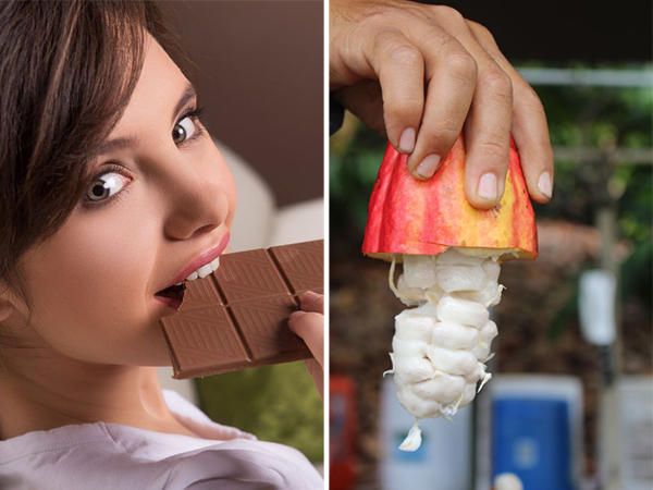 And This Is How Chocolate Is Made