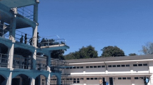 Diving board fails are a splash of hilarious