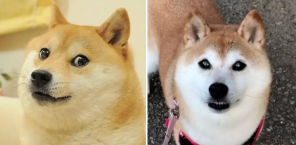 What the faces behind popular memes look like today