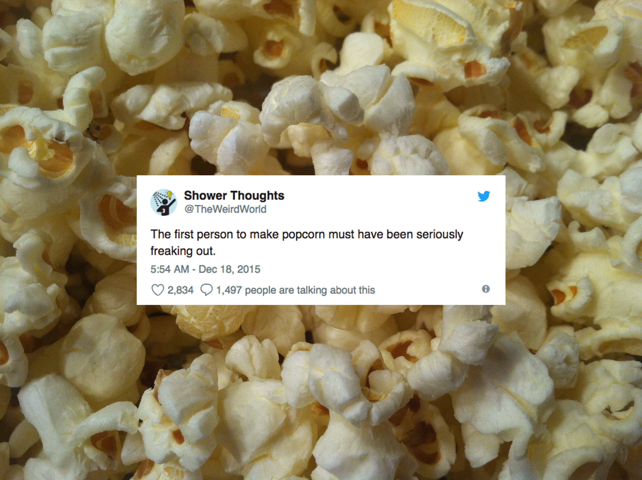 Imagine If You Were The First Person To Ever Try Something