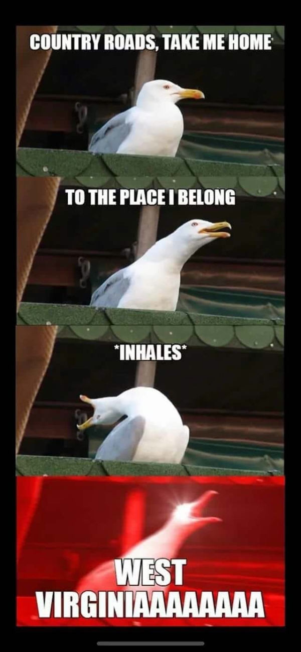 Hilarious logic that is without dispute. Can you relate to it all?