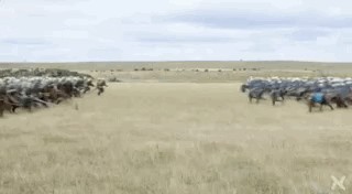 Mesmerizing CGI physics simulations we can't stop staring at