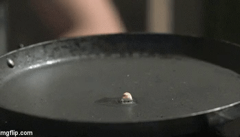 Slo-mo GIFs are about my speed this Monday