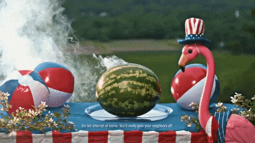 Slo-mo GIFs are about my speed this Monday