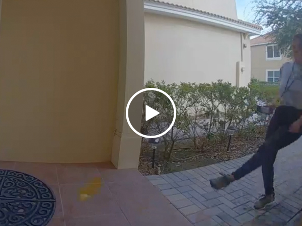 This is what an Amazon delivery driver made of pure evil looks like.