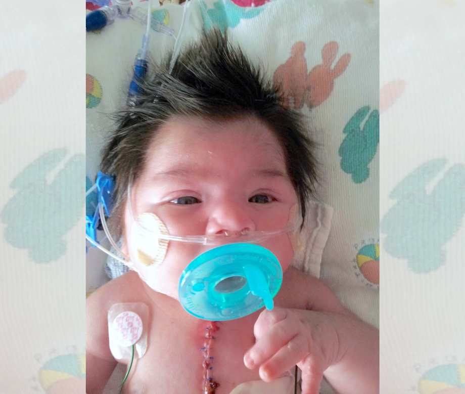 Chive Charities helps veteran repair house infested with mold