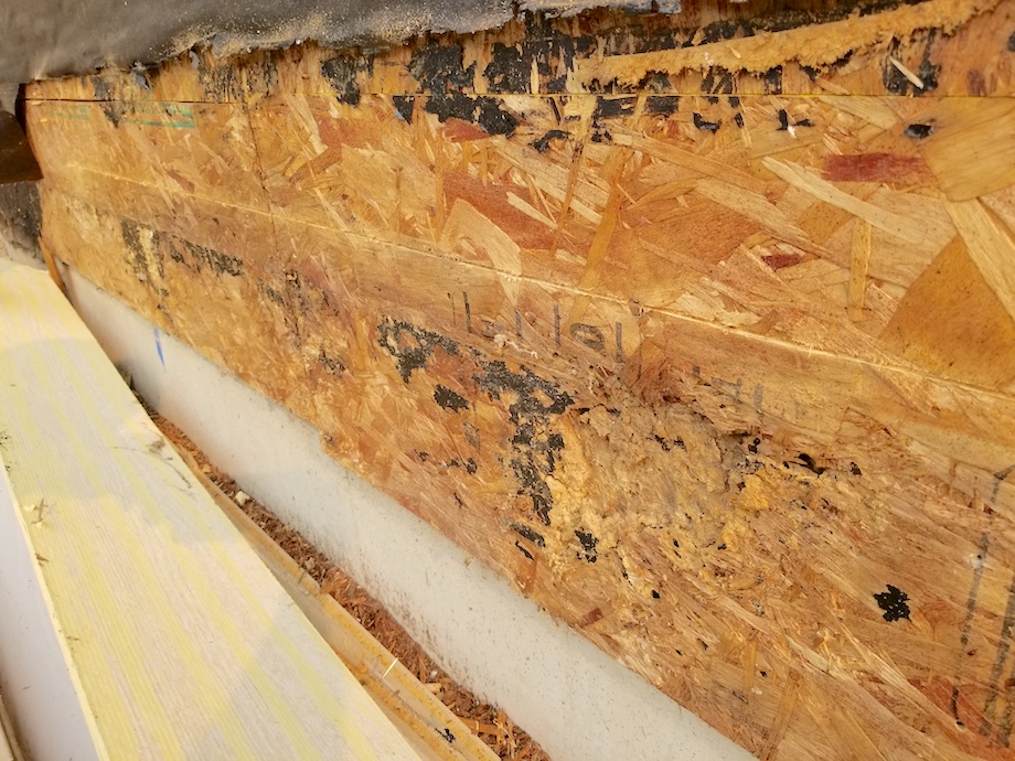 Chive Charities helps veteran repair house infested with mold