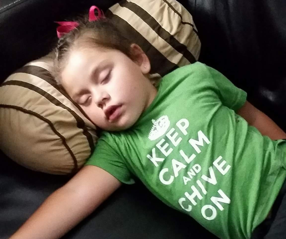 Chive Charities helps veteran repair house infested with mold