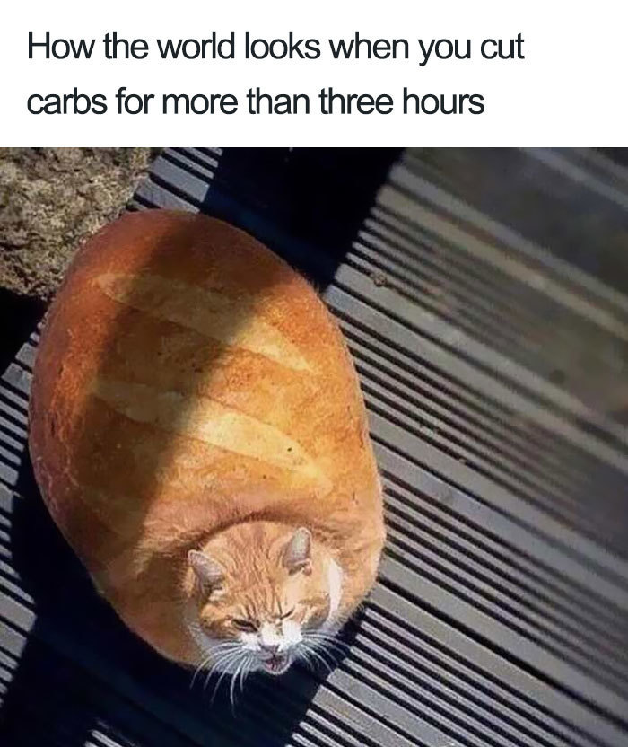 These Food Memes Are Awfully Tasty