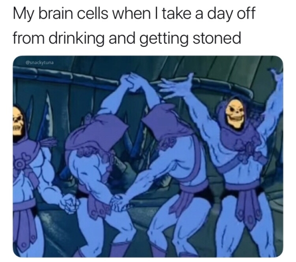 Memes that my last two brain cells loved