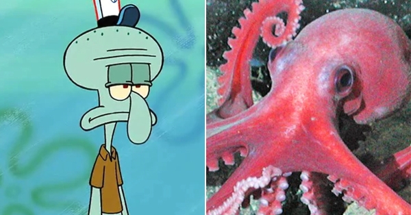 Cartoons compared to their real-life counterparts (20 Photos)